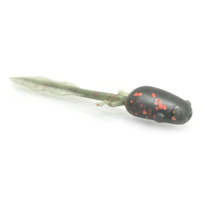 ZAZA TADPOLES